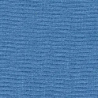 Devonstone Solid - Blue Tongue