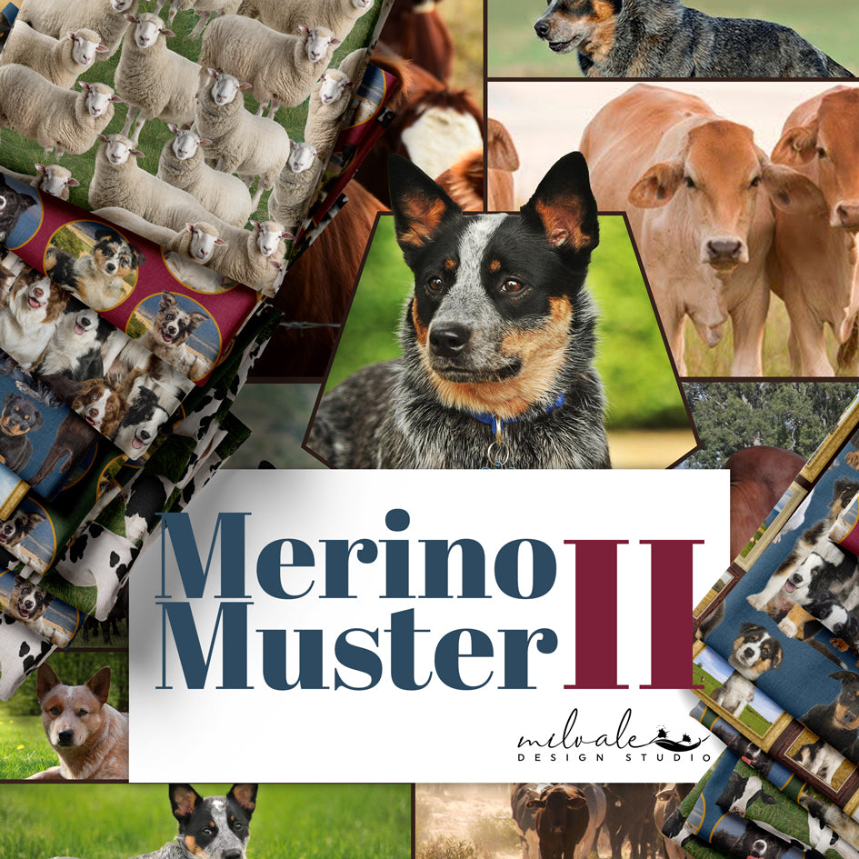 Merino Muster II