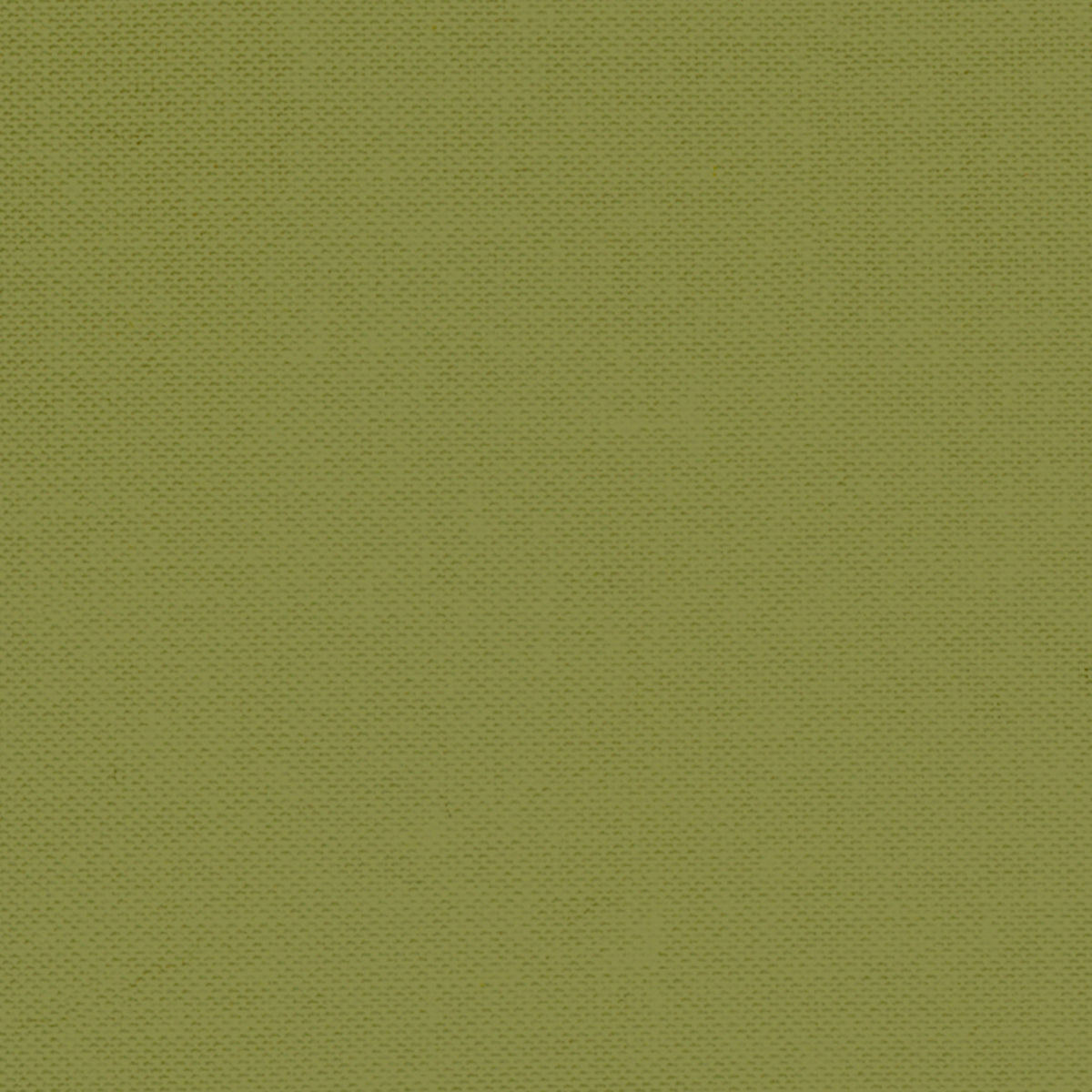 Devonstone Solid - Pine Tree