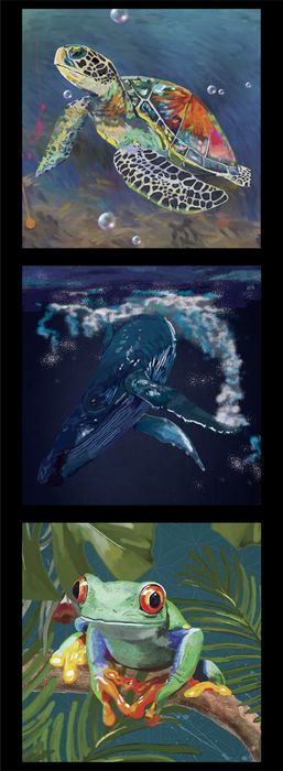 Karin Roberts Collection - DV3923